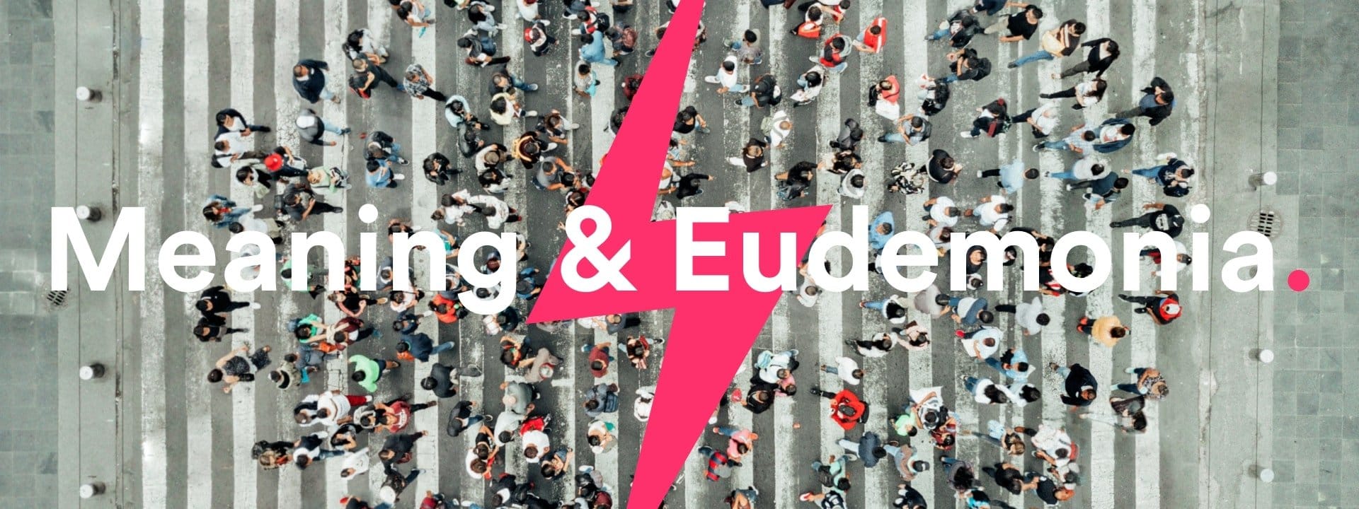 Meaning and Eudemonia | The future of Work ⋆ The Wellness Revolution